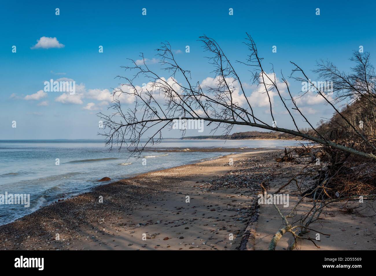 Landslide on a beach of Baltic sea Stock Photo - Alamy