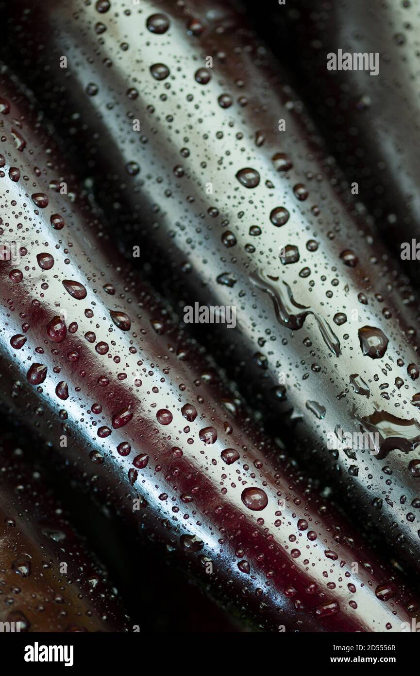Aoubergine detail with water drops Stock Photo - Alamy