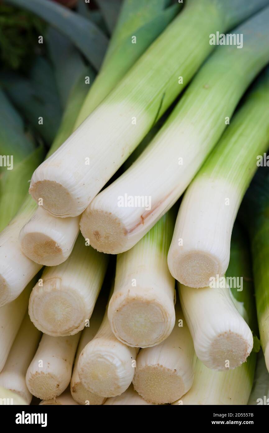 Leeks on sale, Allium ampeloprasum Stock Photo - Alamy