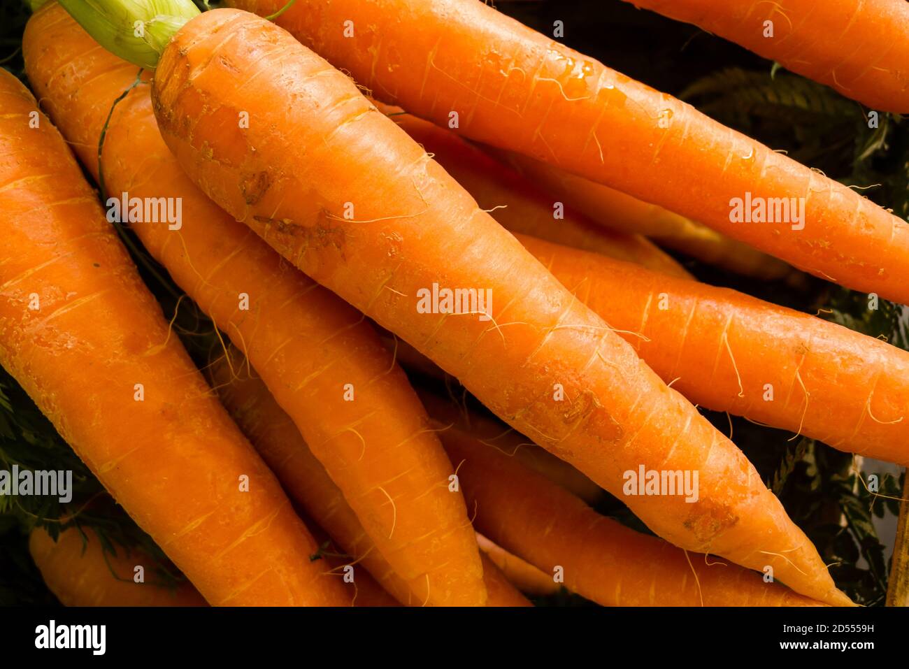 Carrots on display at the market Stock Photo - Alamy