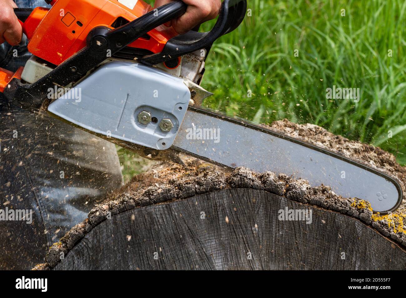 Man working by professional chain saw Stock Photo - Alamy