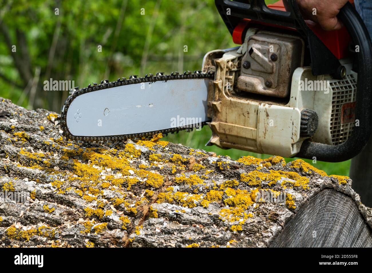 Man working by professional chain saw Stock Photo - Alamy