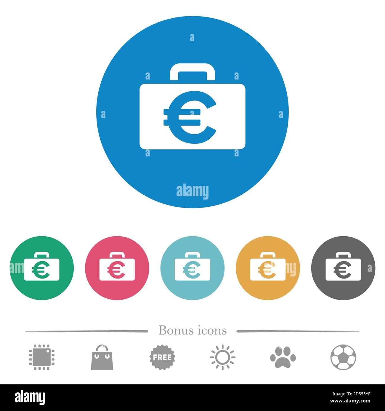 Euro bag flat white icons on round color backgrounds. 6 bonus icons ...
