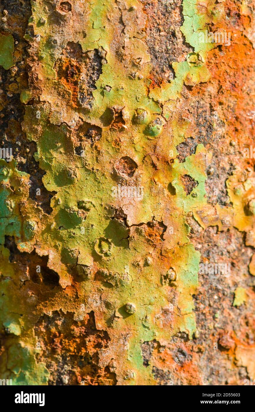 Rust on green painted metal bar Stock Photo - Alamy