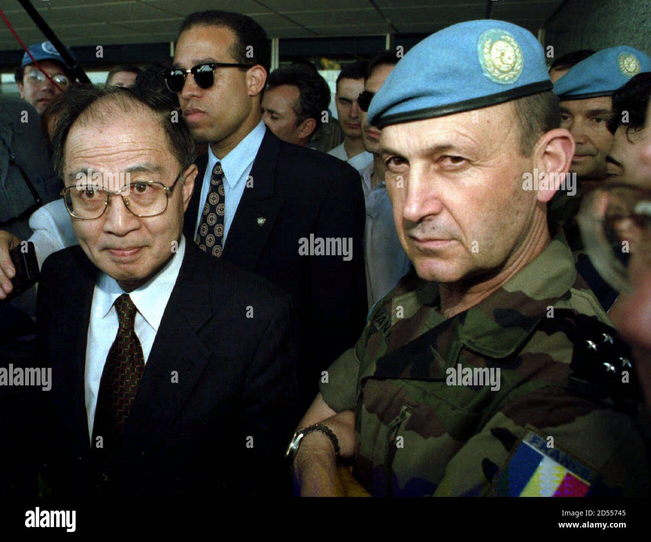 Divulje hi-res stock photography and images - Alamy