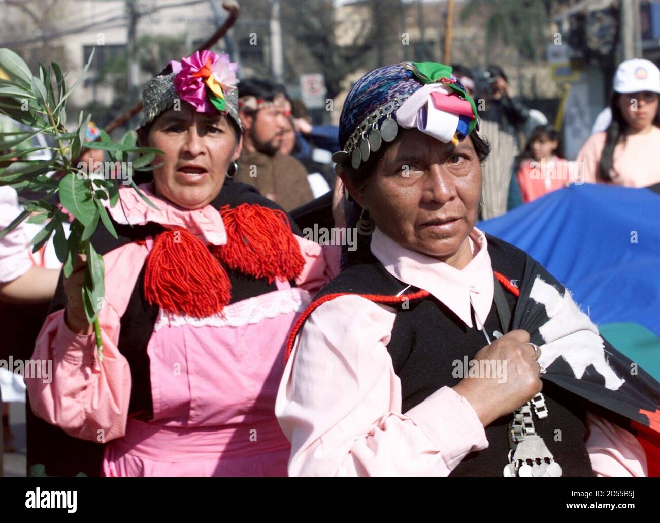 Mapuche Indians High Resolution Stock Photography and Images - Alamy