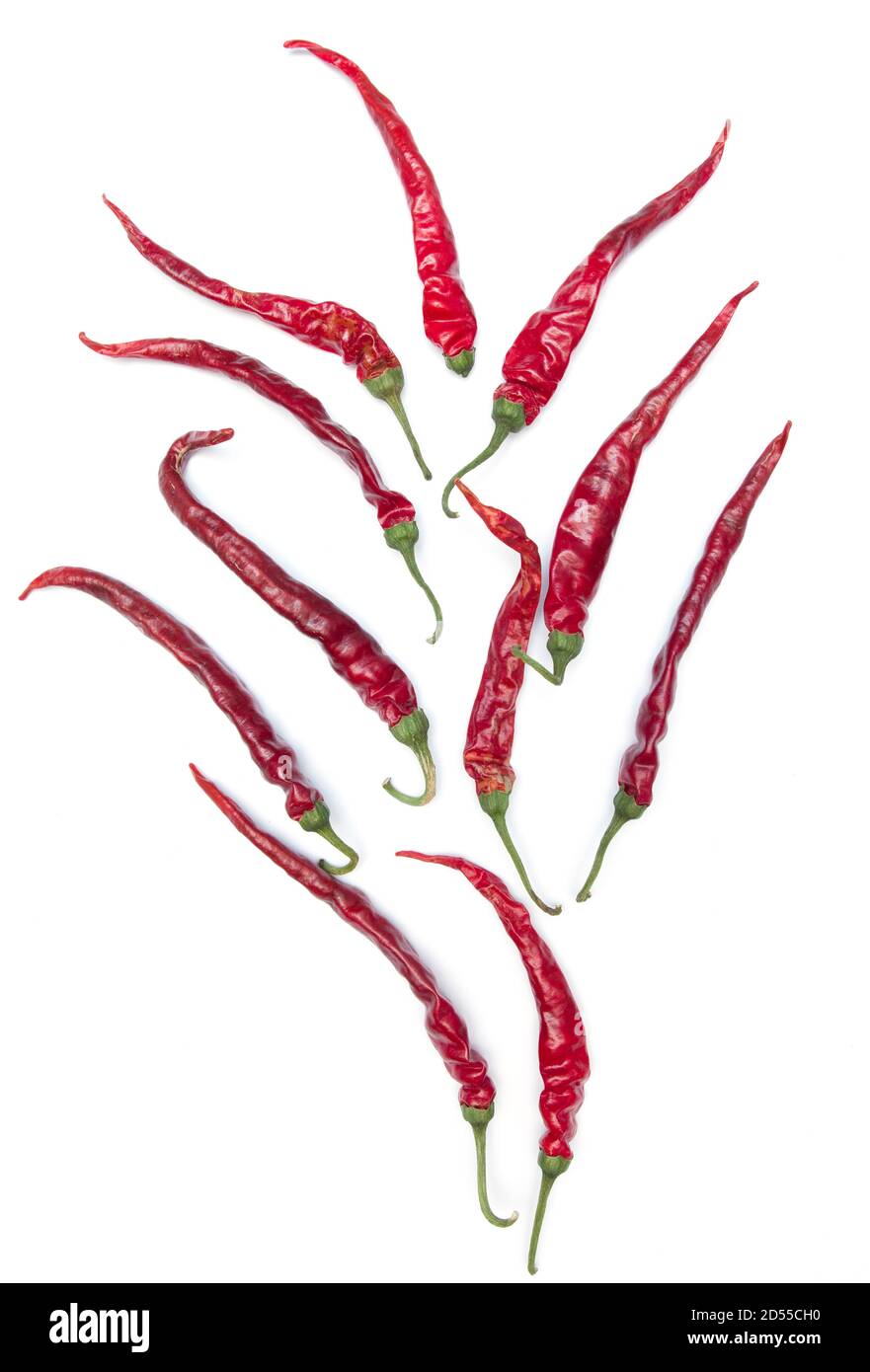 Top view of line composition chilli red peppers isolated on white ...