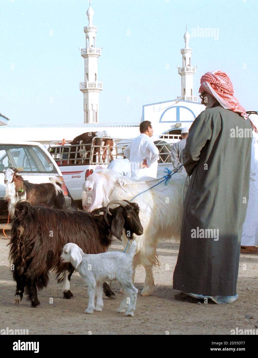 Goat iran middle east hi-res stock photography and images - Alamy