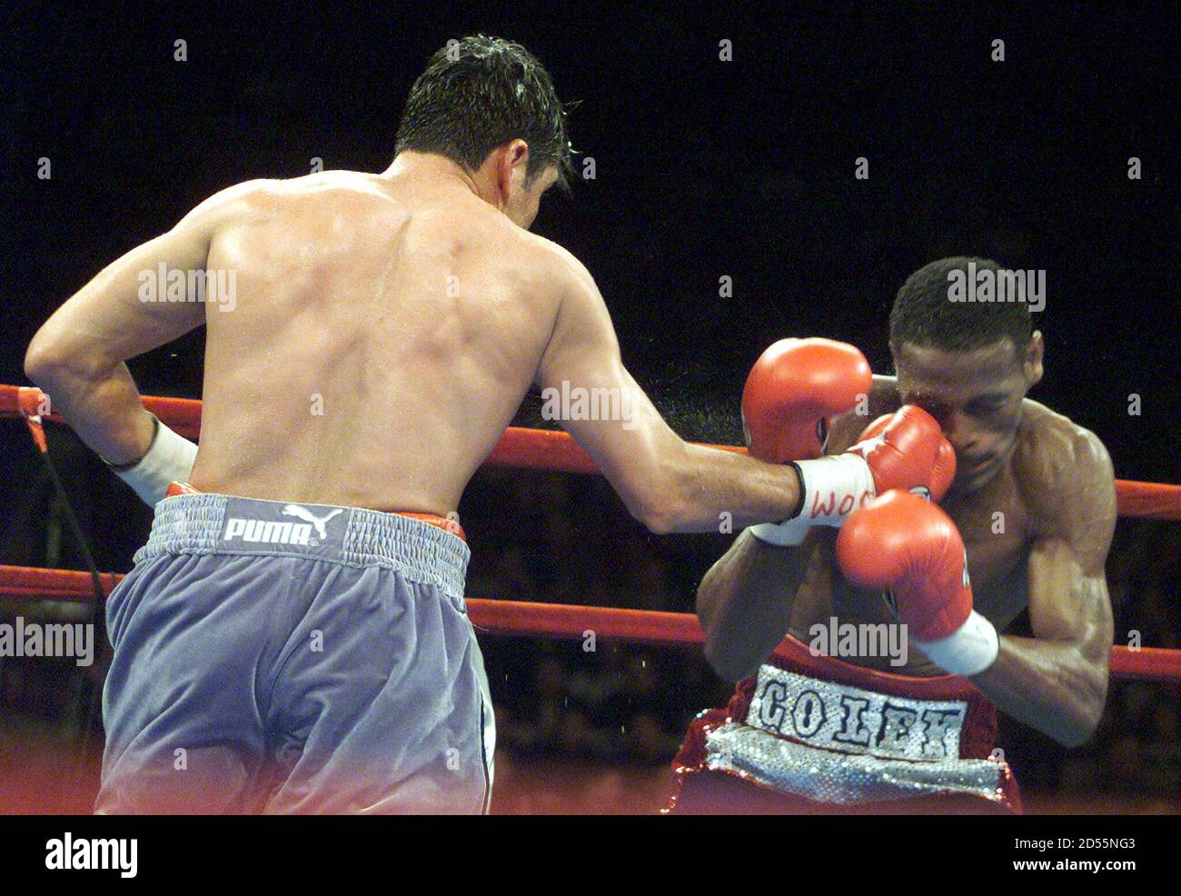 Boxing Match Madison Square Garden High Resolution Stock Photography and Images - Alamy