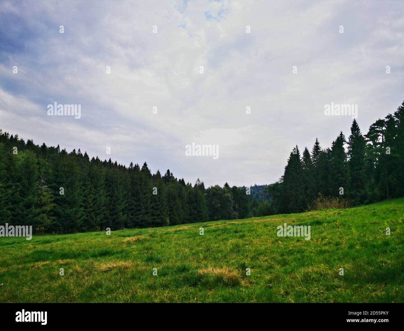 Mountain scenery of the Beskids. Poland Stock Photo - Alamy