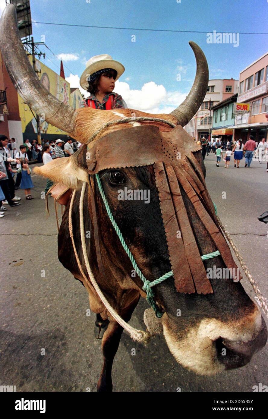 Ox Cart Rides High Resolution Stock Photography and Images - Alamy