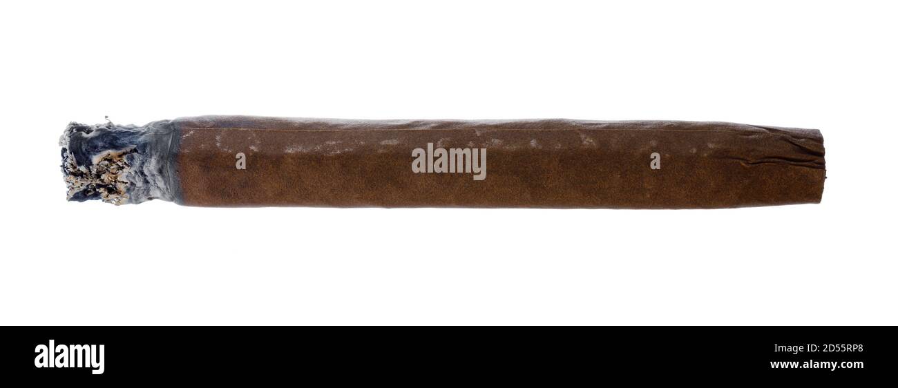 Burning hand rolled cigar isolated on white Stock Photo - Alamy