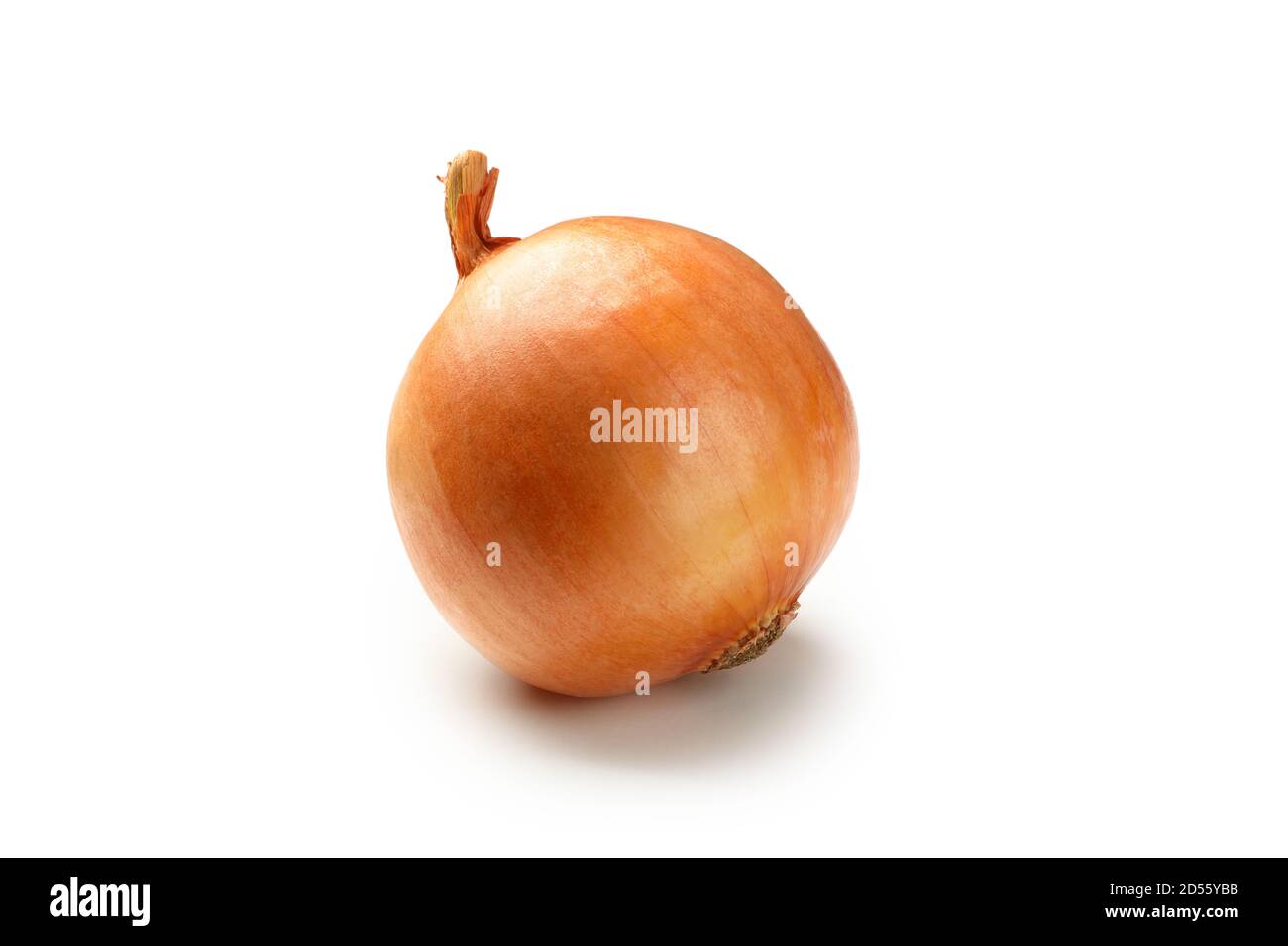 Raw fresh onion isolated on white background Stock Photo - Alamy
