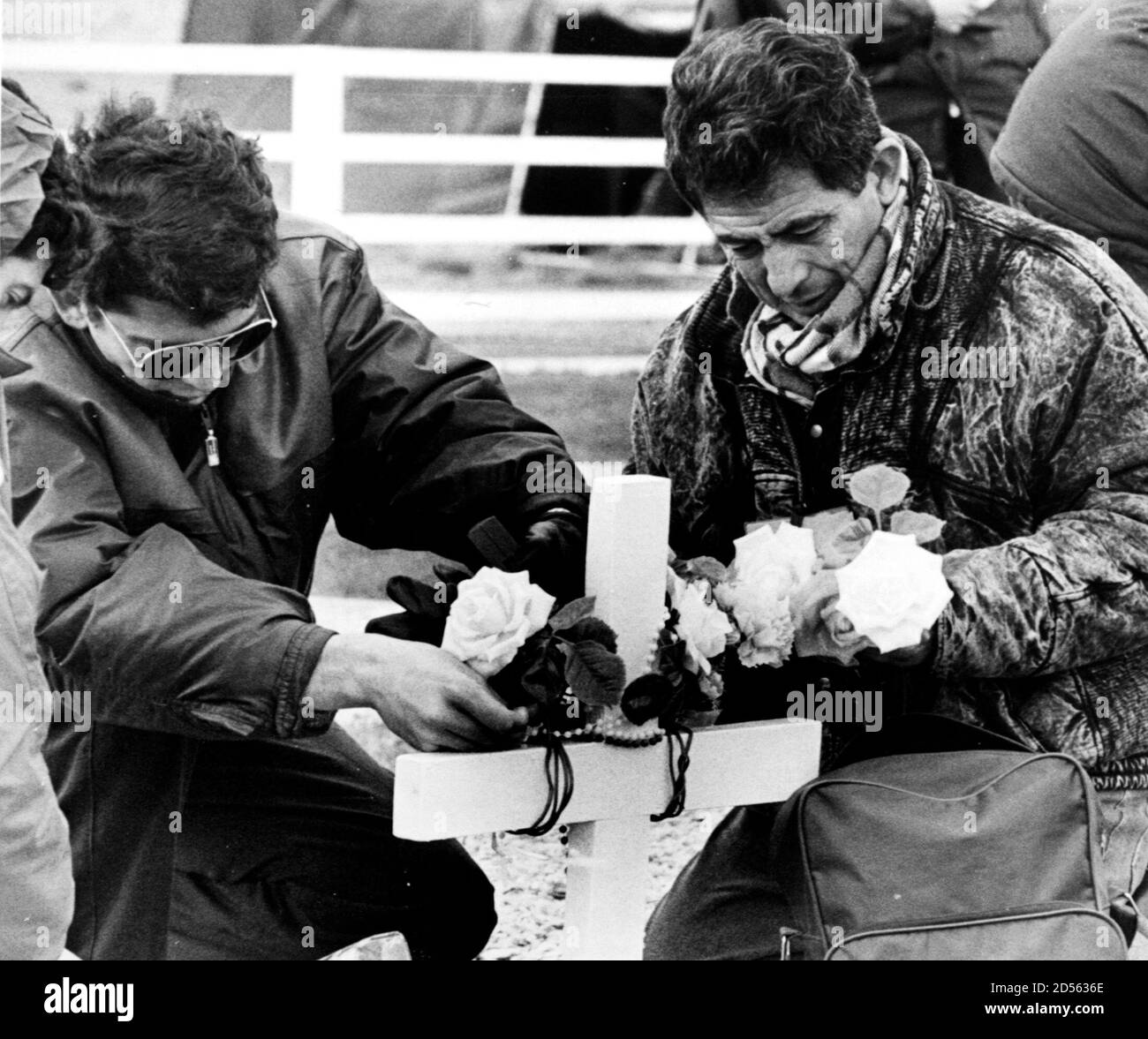 Darwin falklands Black and White Stock Photos & Images - Alamy