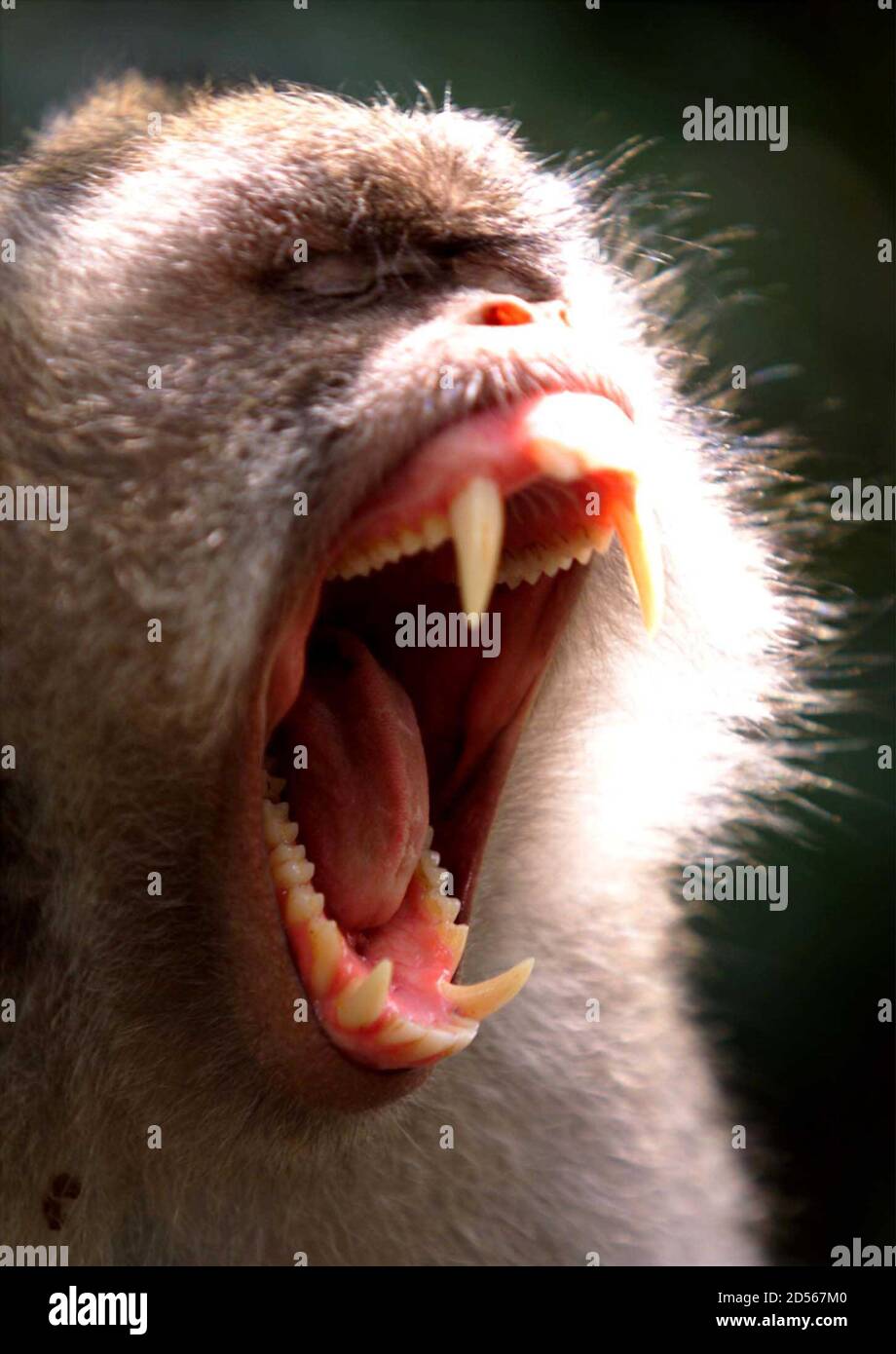 Important culture hi-res stock photography and images - Alamy