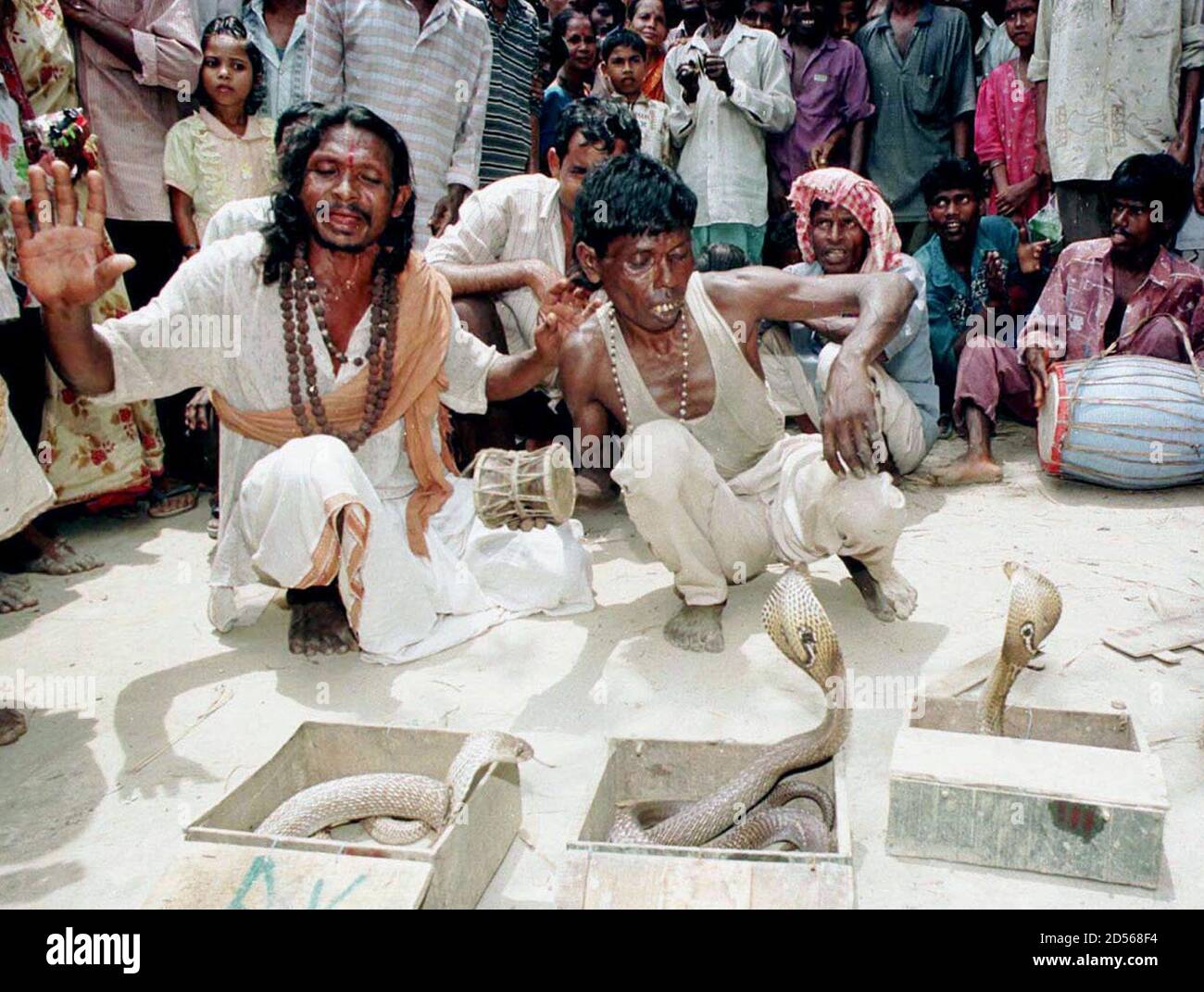 Snakes india city hi-res stock photography and images - Alamy