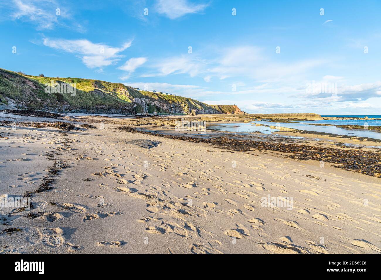 Berwick northumberland hi-res stock photography and images - Alamy