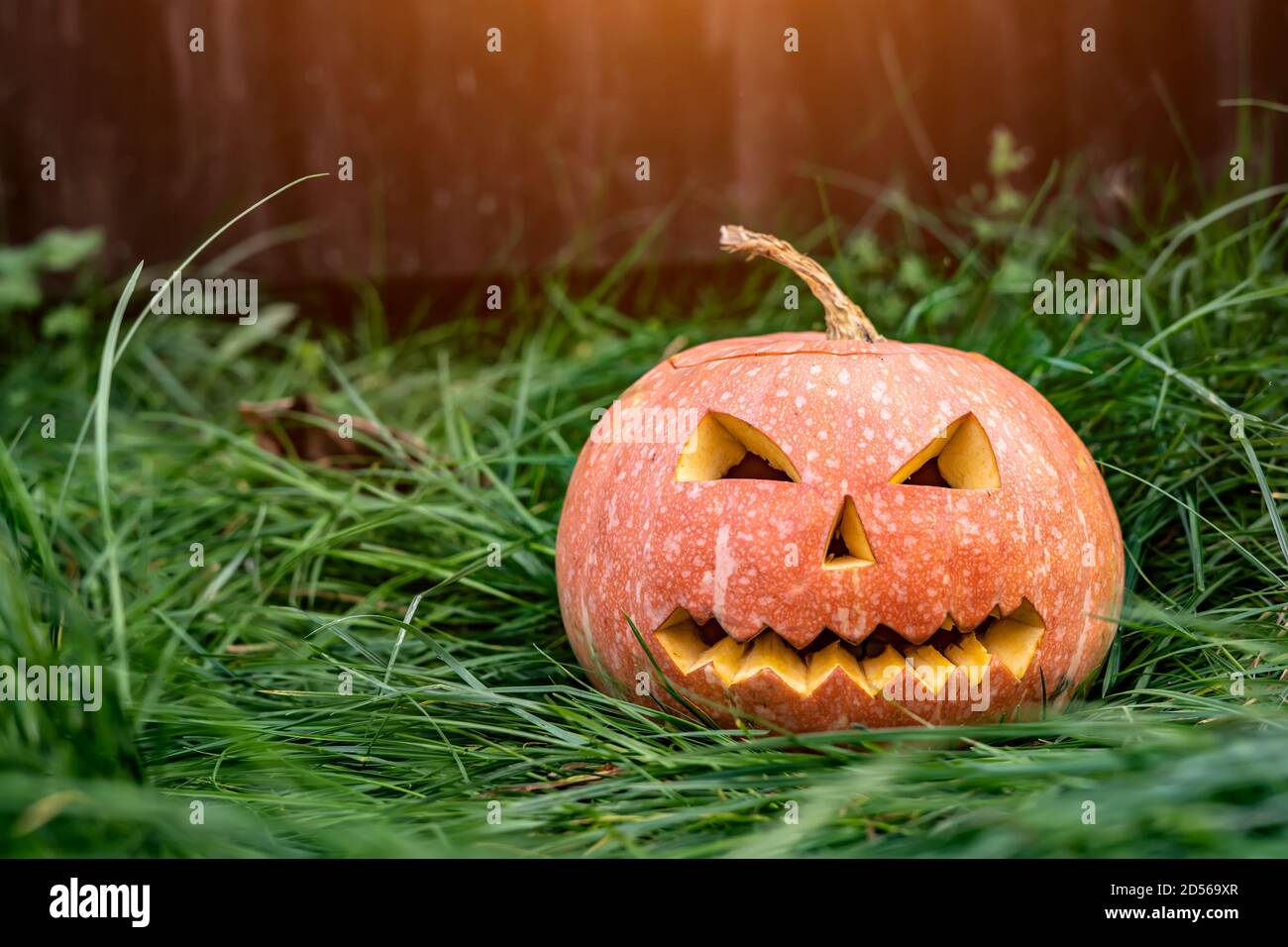 Scary pumpkin on grass hi-res stock photography and images - Alamy