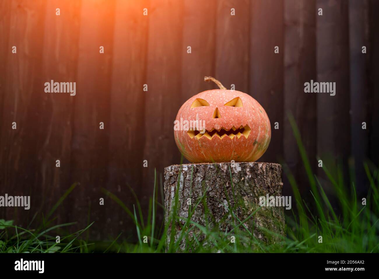 scary pumpkin for Halloween on a stump Stock Photo - Alamy