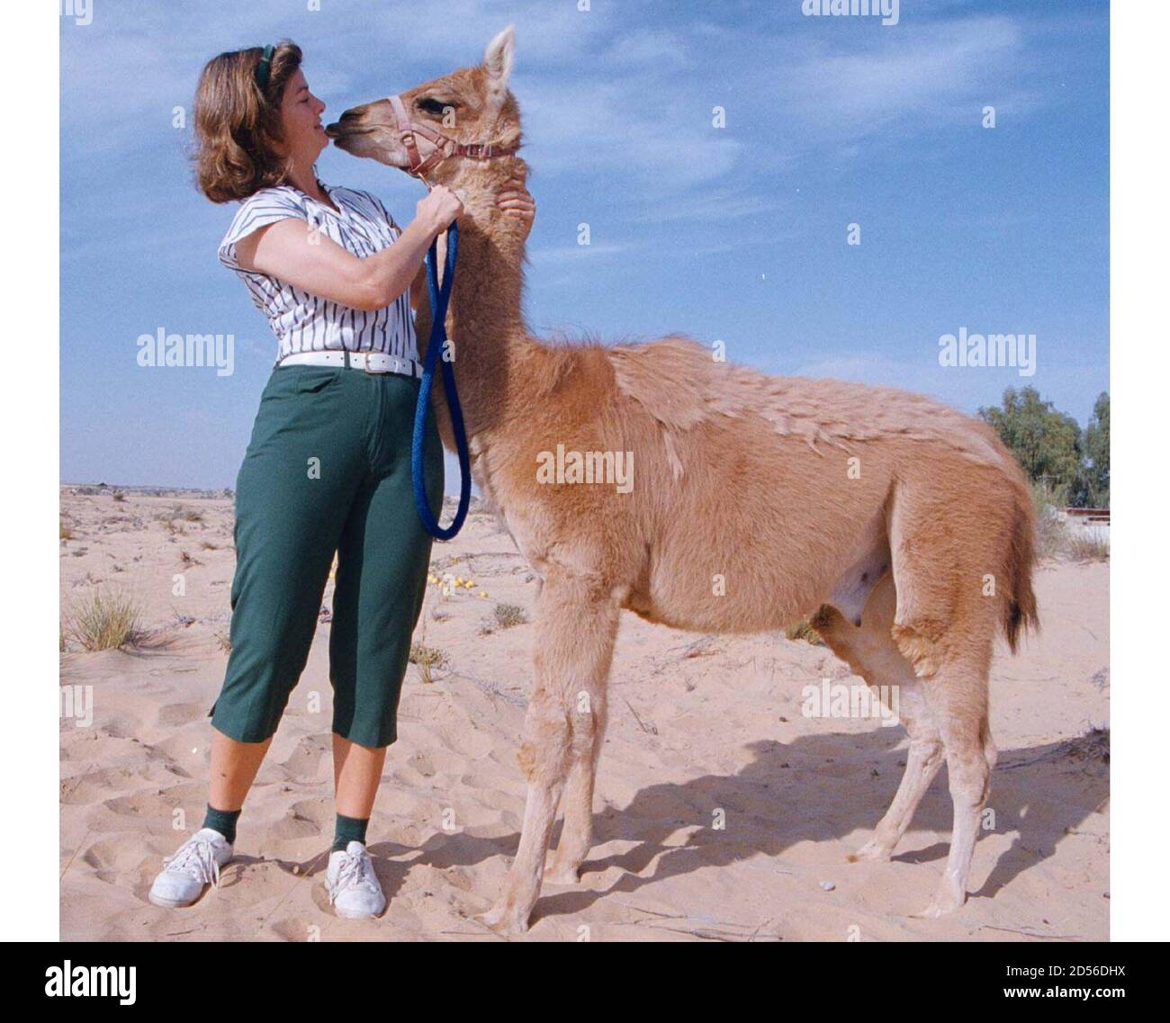 1 cama hi-res stock photography and images - Alamy