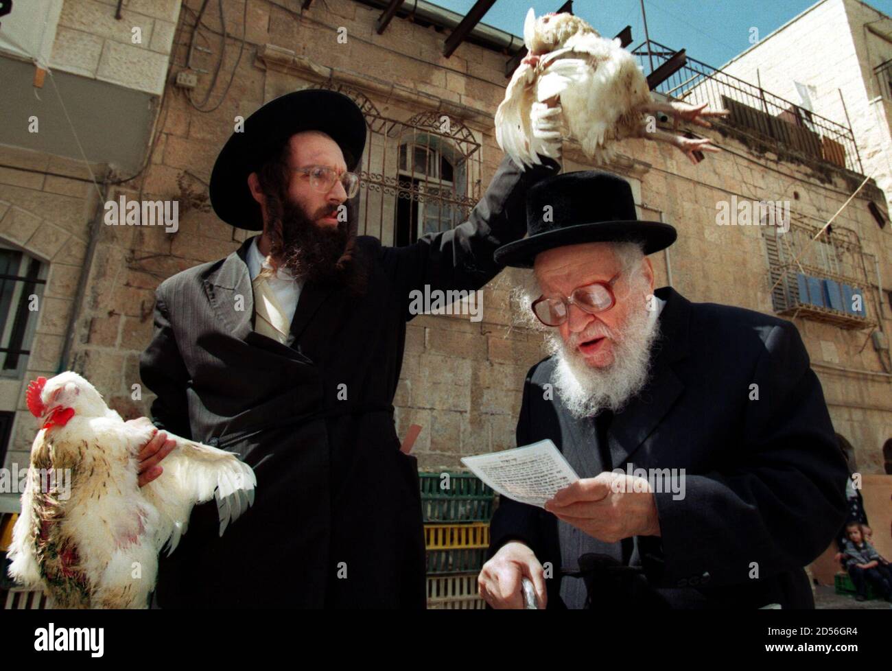 Ritual rooster hi-res stock photography and images - Alamy