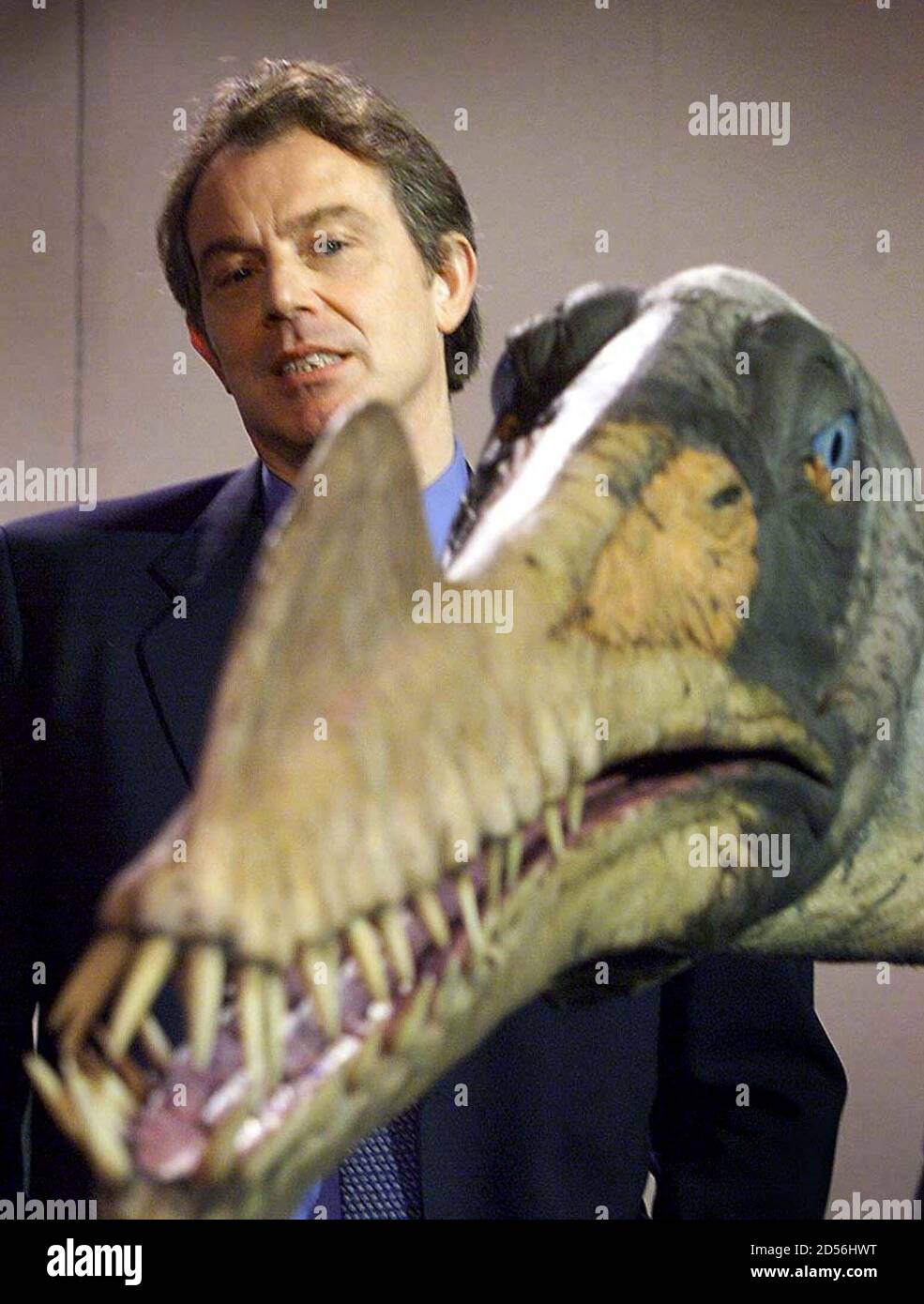 Walking With Dinosaurs Bbc | atelier-yuwa.ciao.jp Walking With Dinosaurs Bbc | atelier-yuwa.ciao.jp