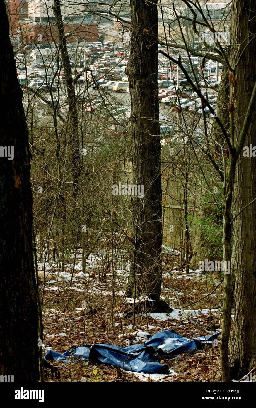 Decompose body farm hi-res stock photography and images - Alamy