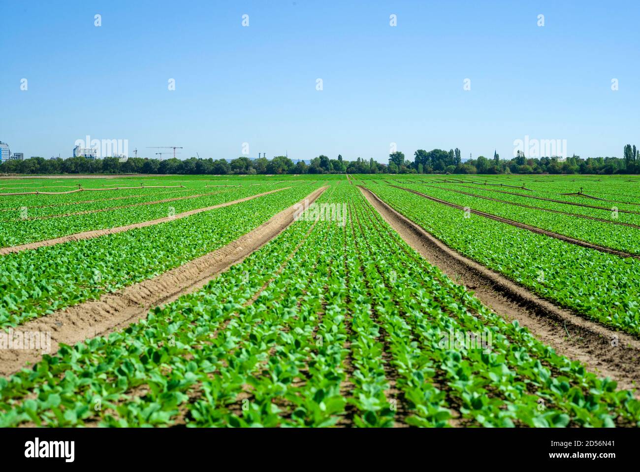 Life in southern germany hi-res stock photography and images - Alamy