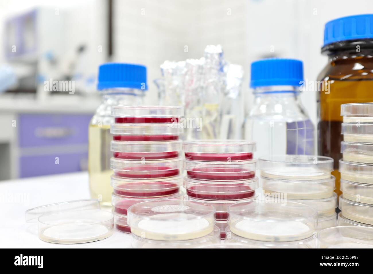 Microbiological culture hi-res stock photography and images - Alamy