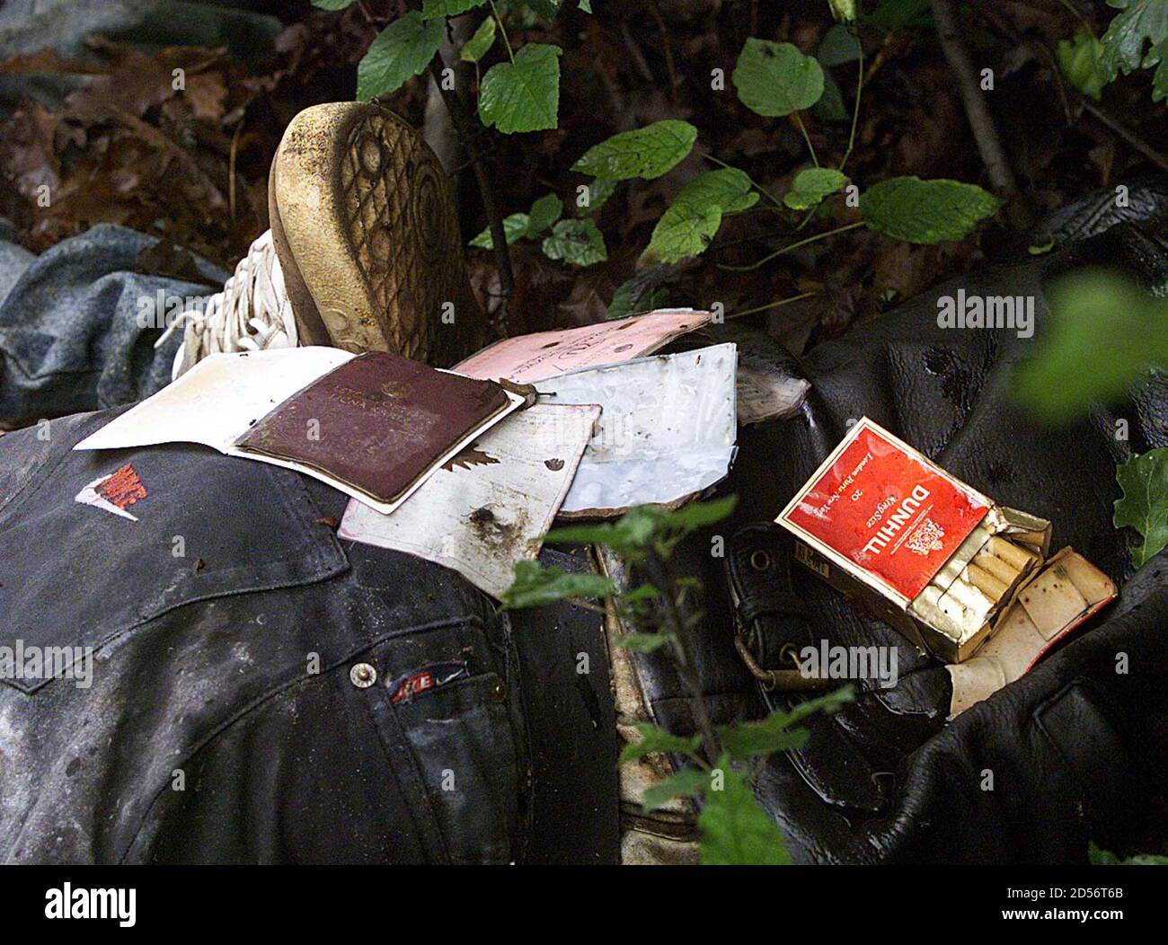 Decomposing body hi-res stock photography and images - Alamy