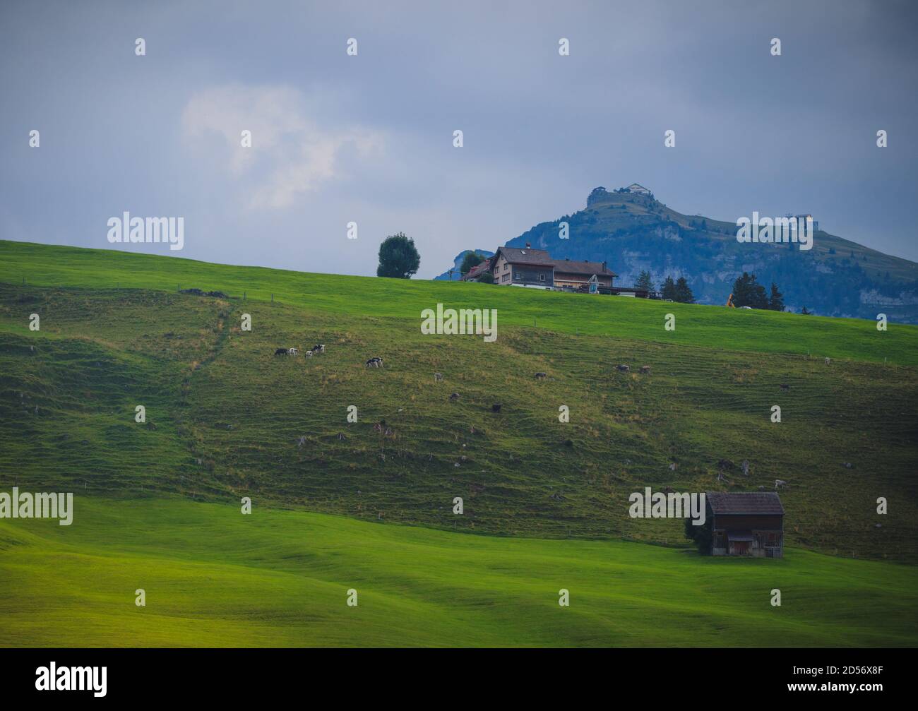small alm houses Stock Photo - Alamy