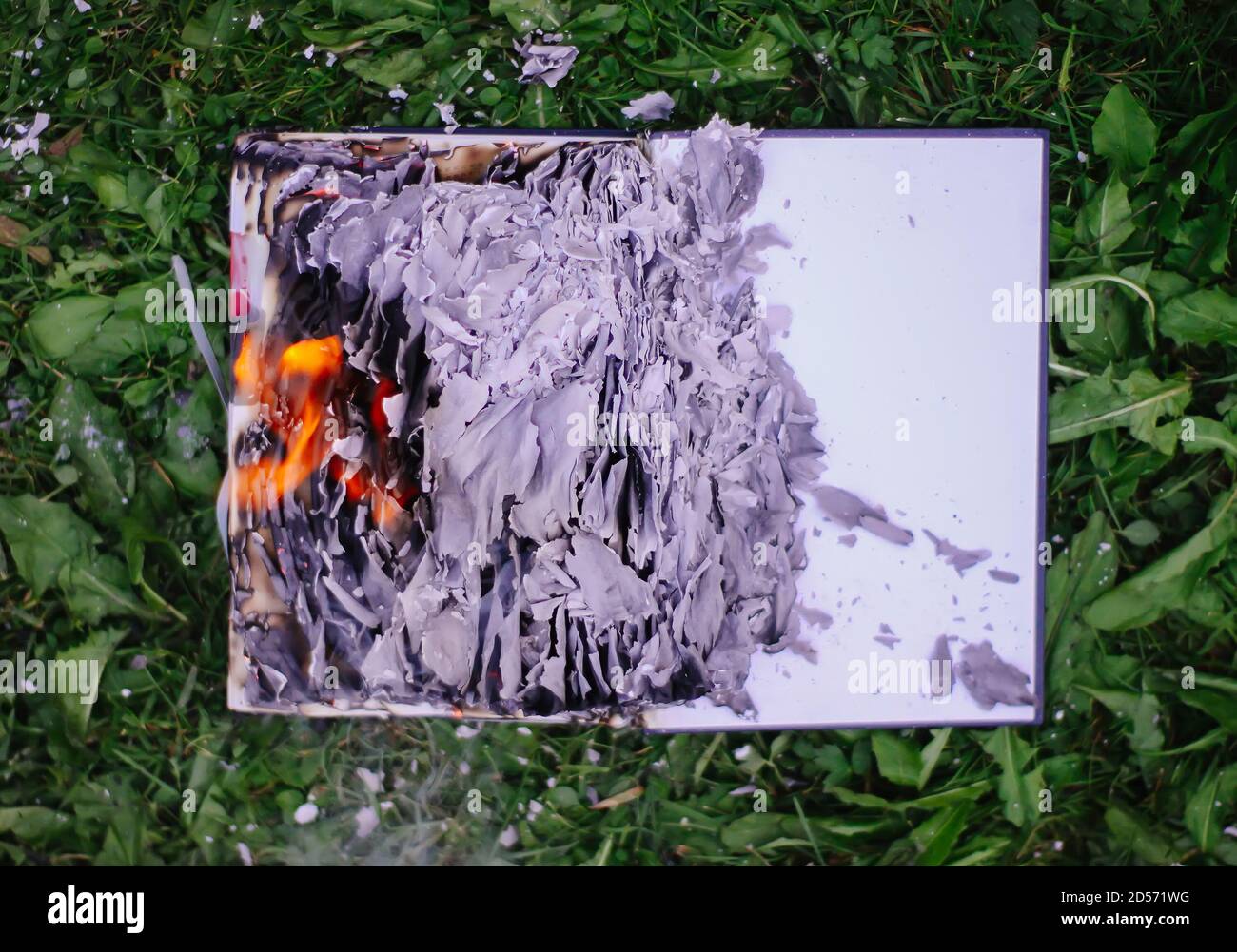 Old notepad burning on green summer grass outdoors Stock Photo - Alamy