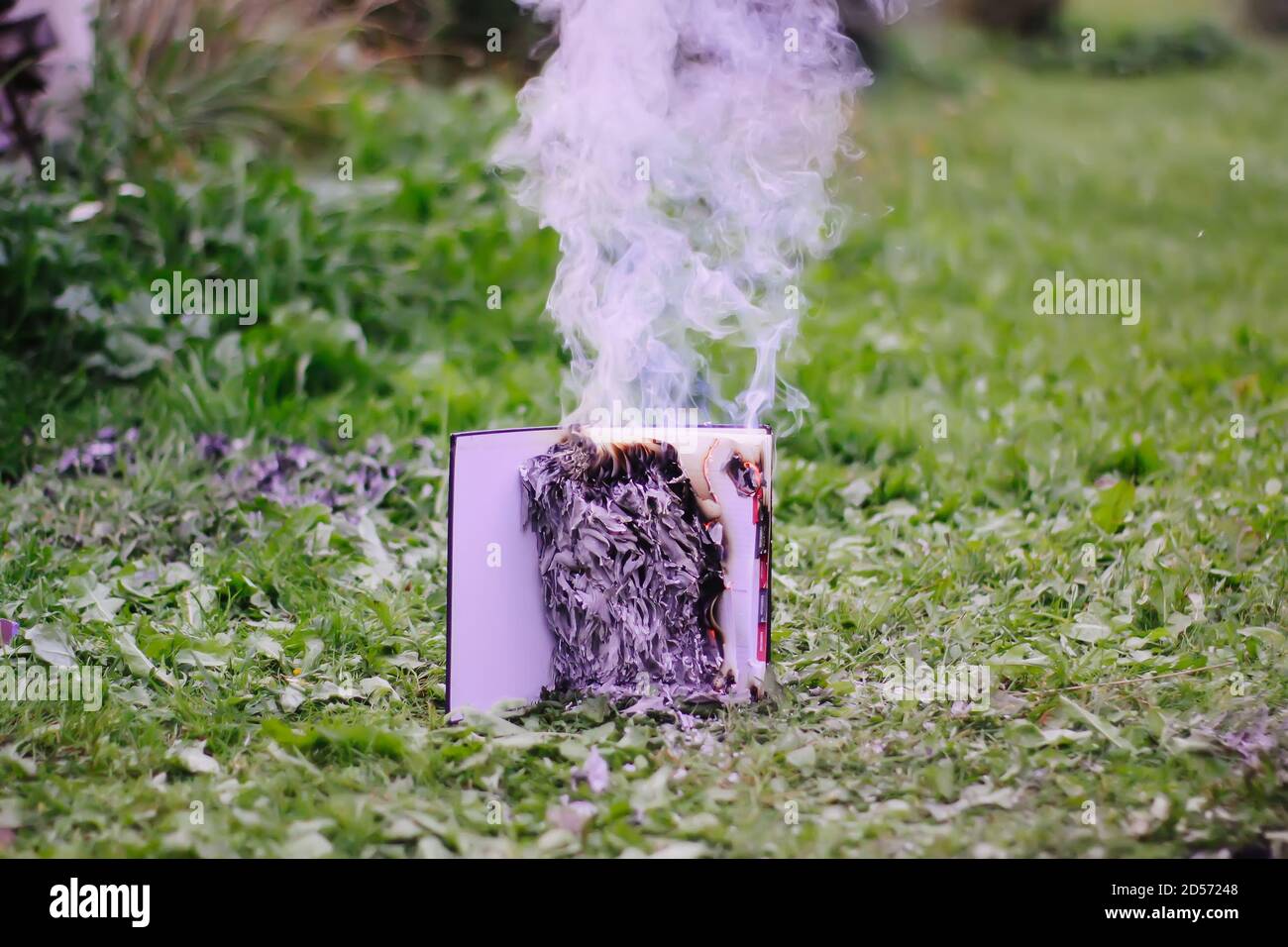 Old notepad burning on green summer grass outdoors Stock Photo - Alamy
