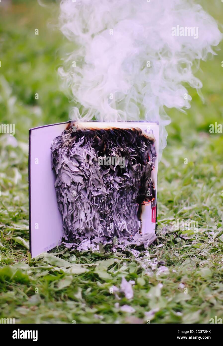 Old notepad burning on green summer grass outdoors Stock Photo - Alamy