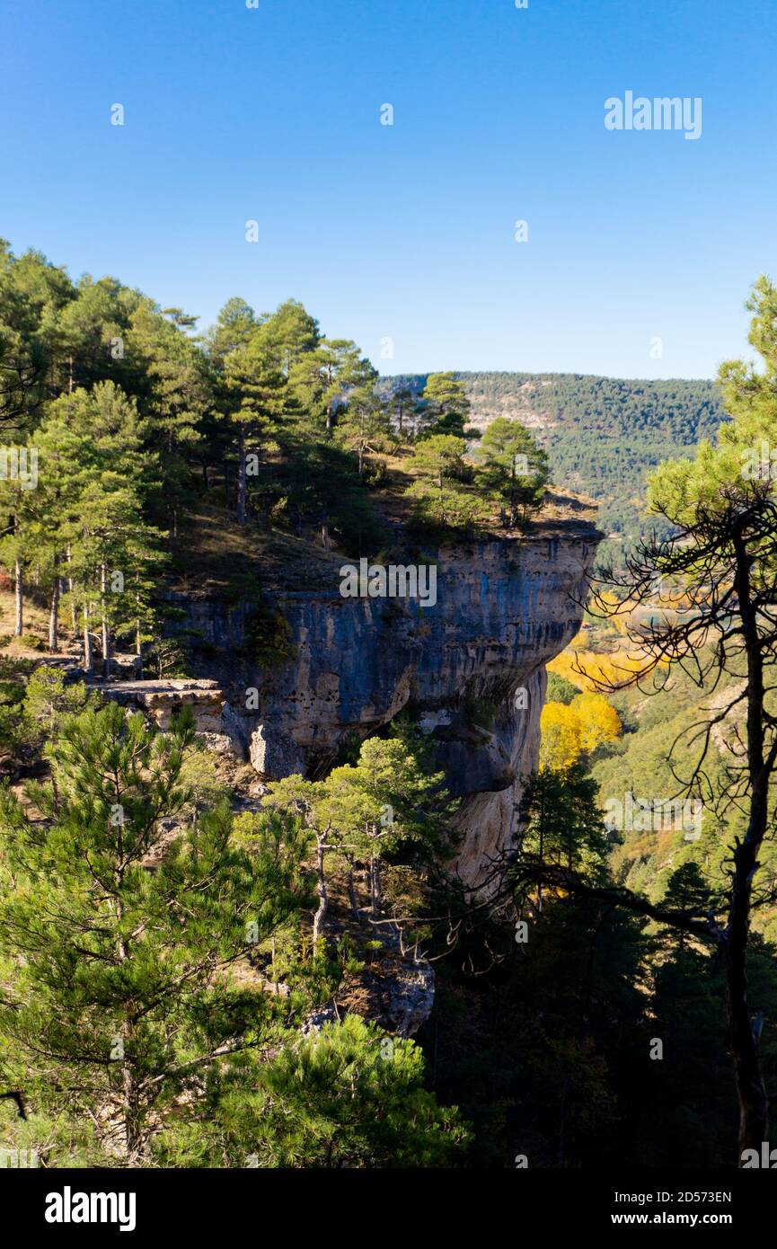 natural landscape of pine trees and rocks Stock Photo - Alamy