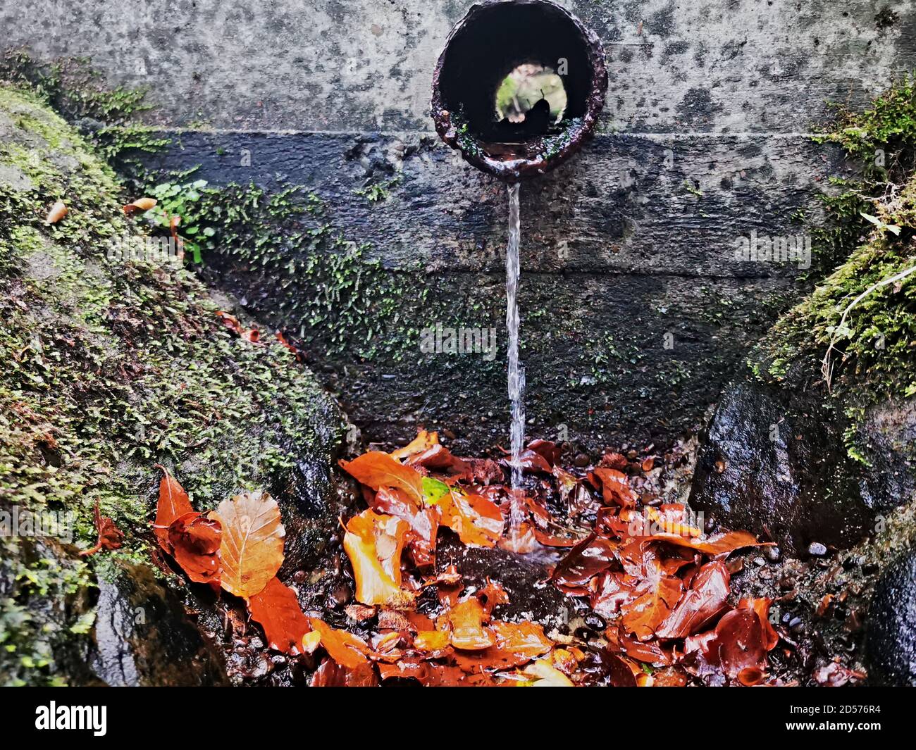 Water intake in the forest hi-res stock photography and images - Alamy