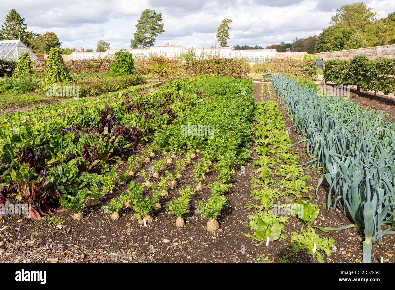 Walled Vegetable Garden Uk High Resolution Stock Photography and Images ...