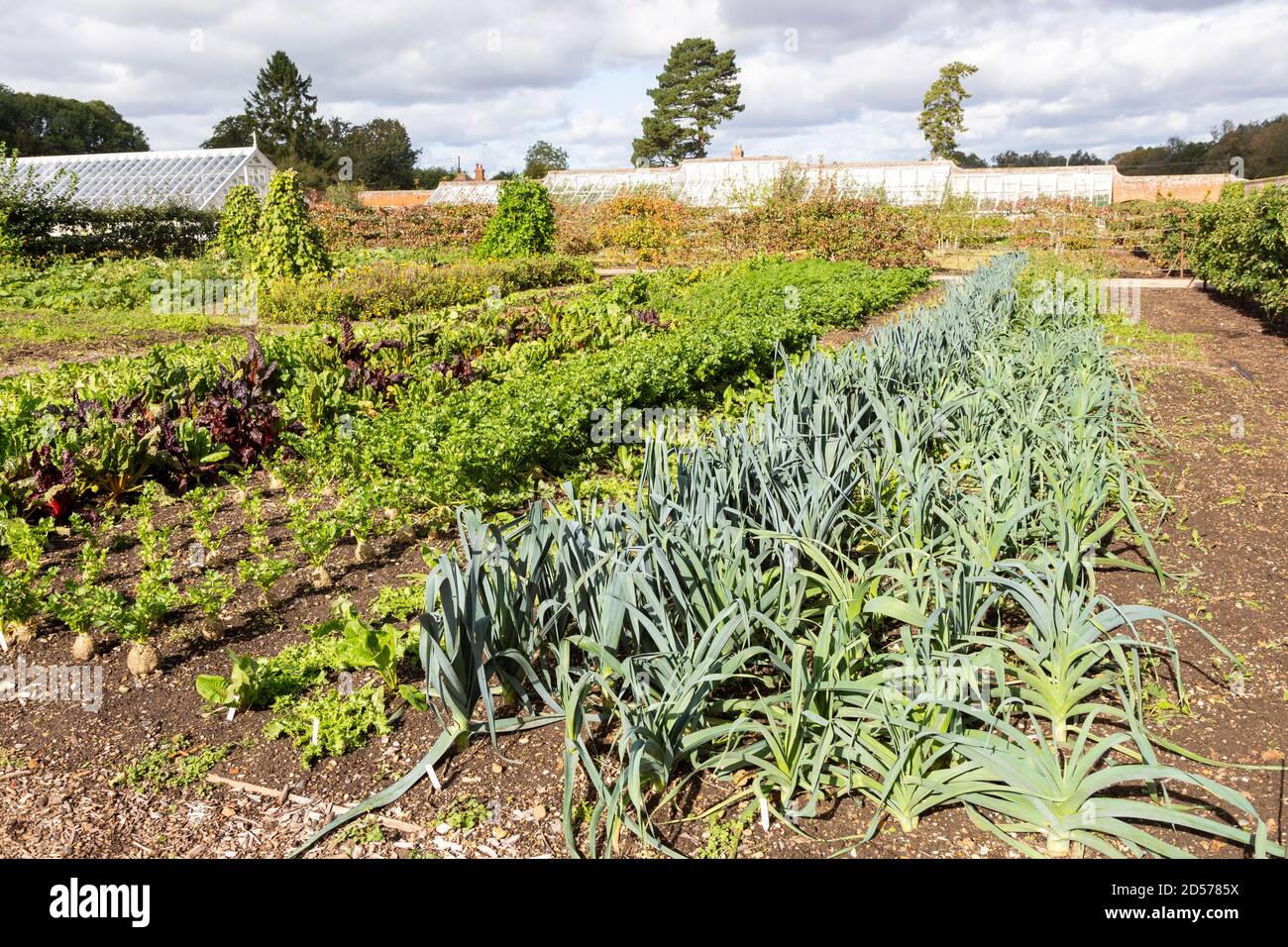 Victorian kitchen garden hi-res stock photography and images - Alamy