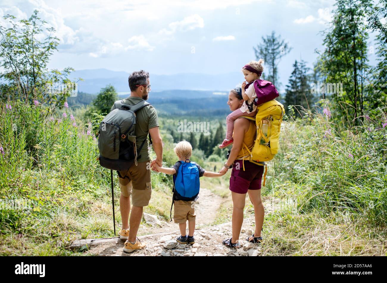 Rear view of family with small children hiking outdoors in summer ...