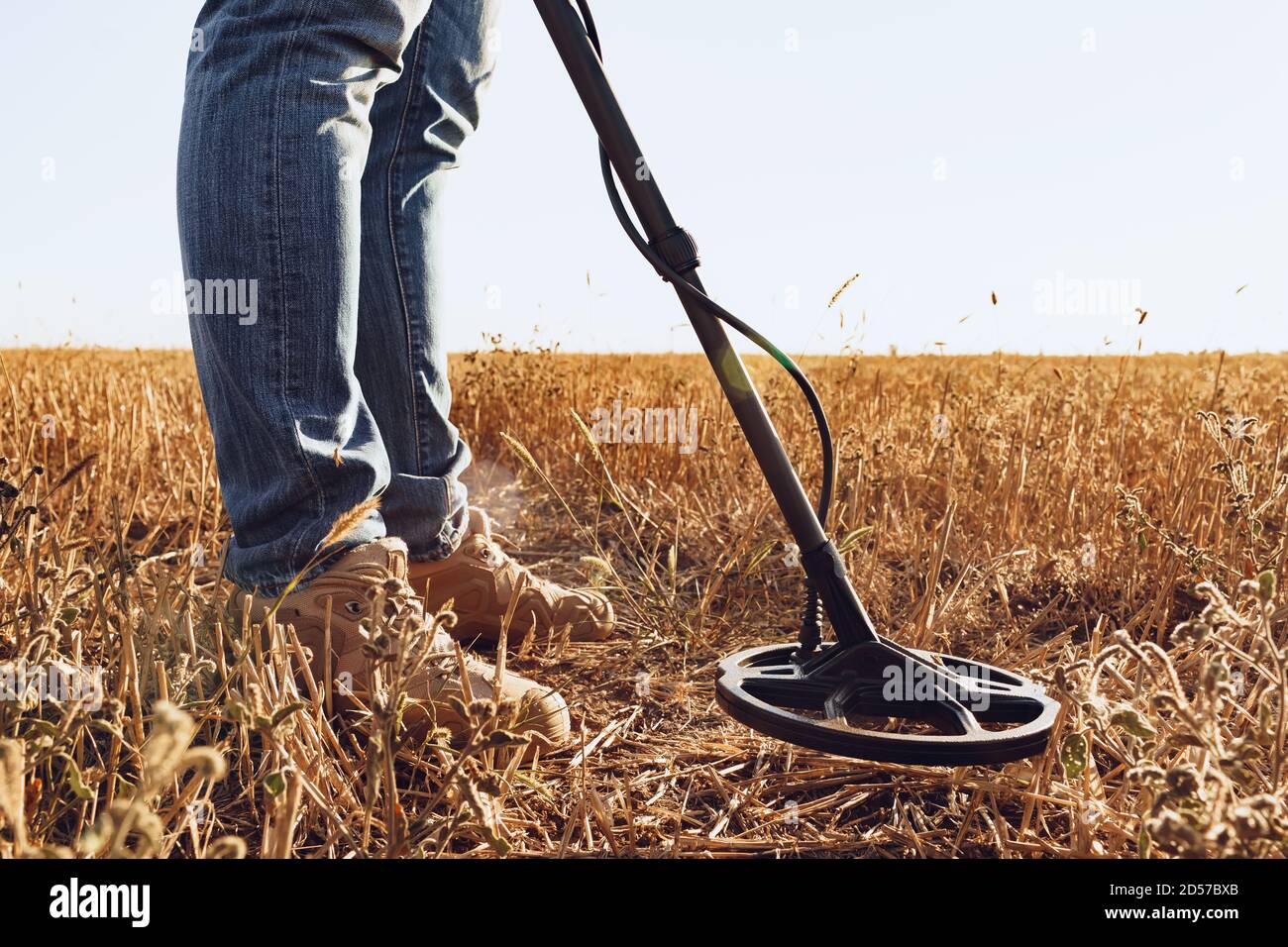 Man in field metal detector hi-res stock photography and images - Alamy
