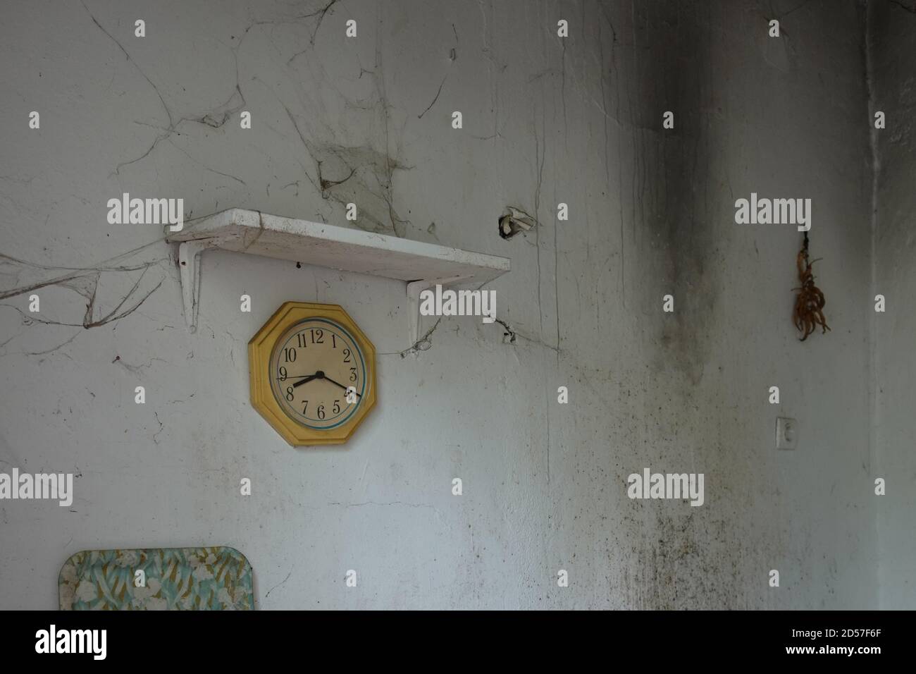 Cobwebbed clock and dried herbs on moldy wall. Abandoned house interior ...