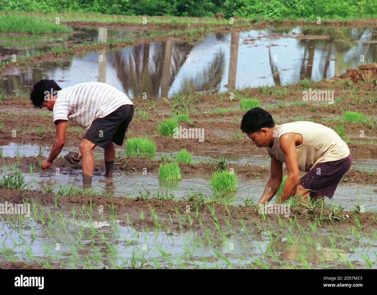 Sorsogon, bicol hi-res stock photography and images - Alamy