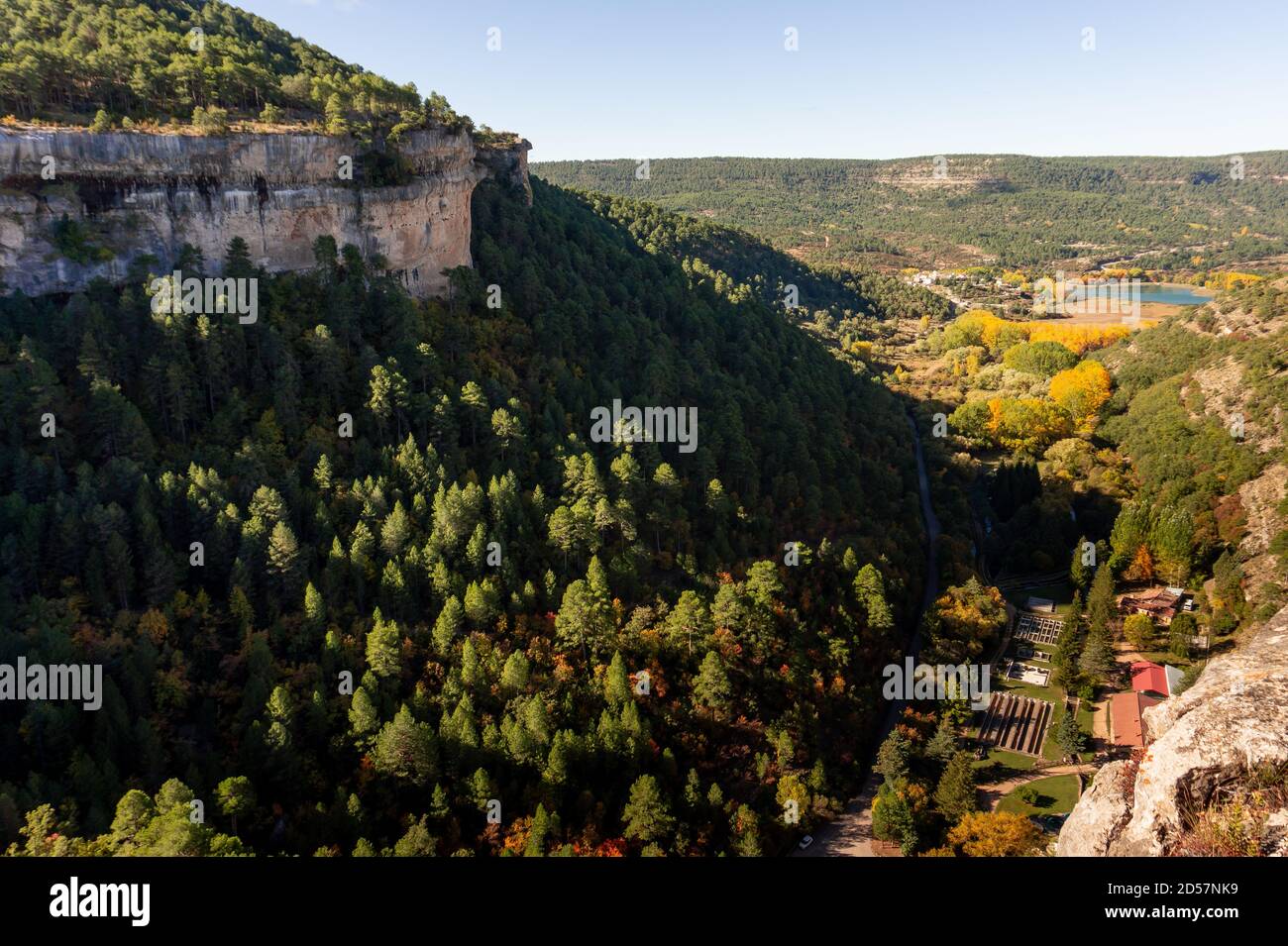 natural landscape of pine trees and rocks Stock Photo - Alamy