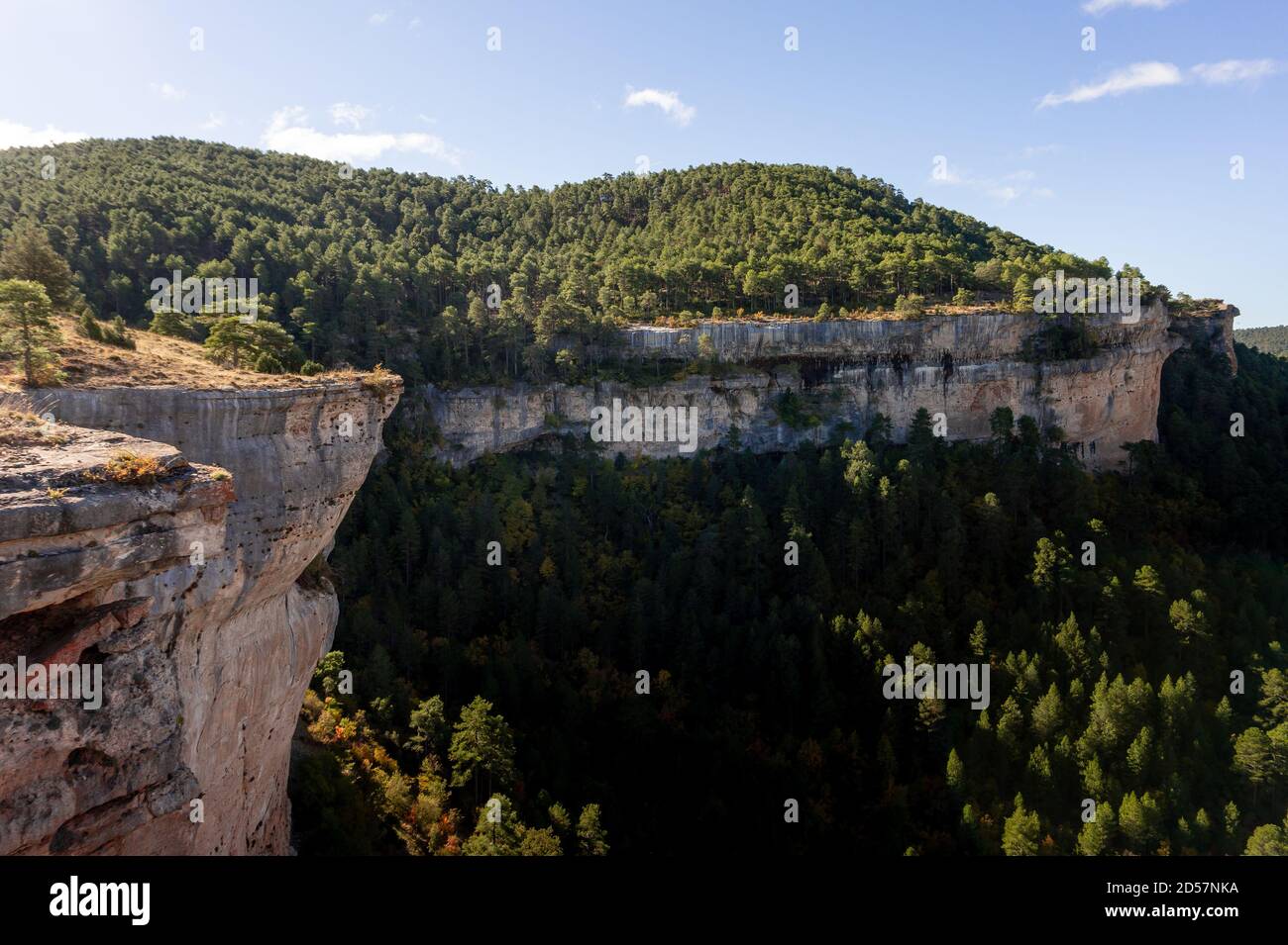 natural landscape of pine trees and rocks Stock Photo - Alamy