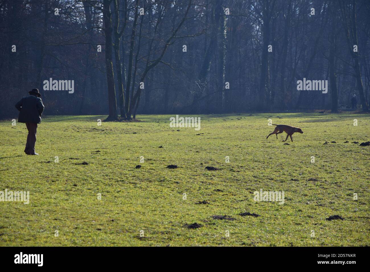 Man wakling in a park with his dog Stock Photo - Alamy
