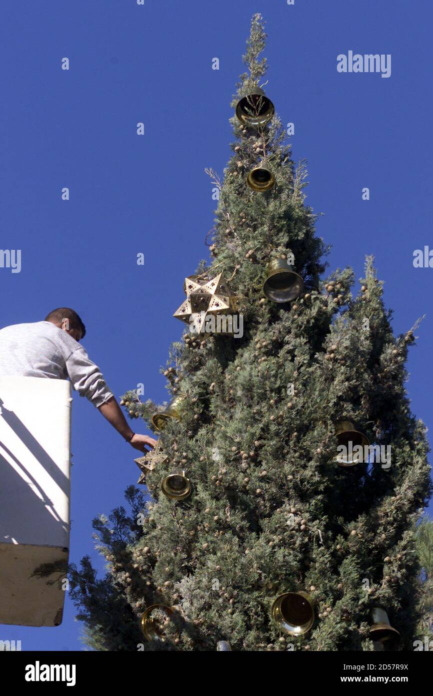 Christian pilgrims christmas tree hi-res stock photography and images ...