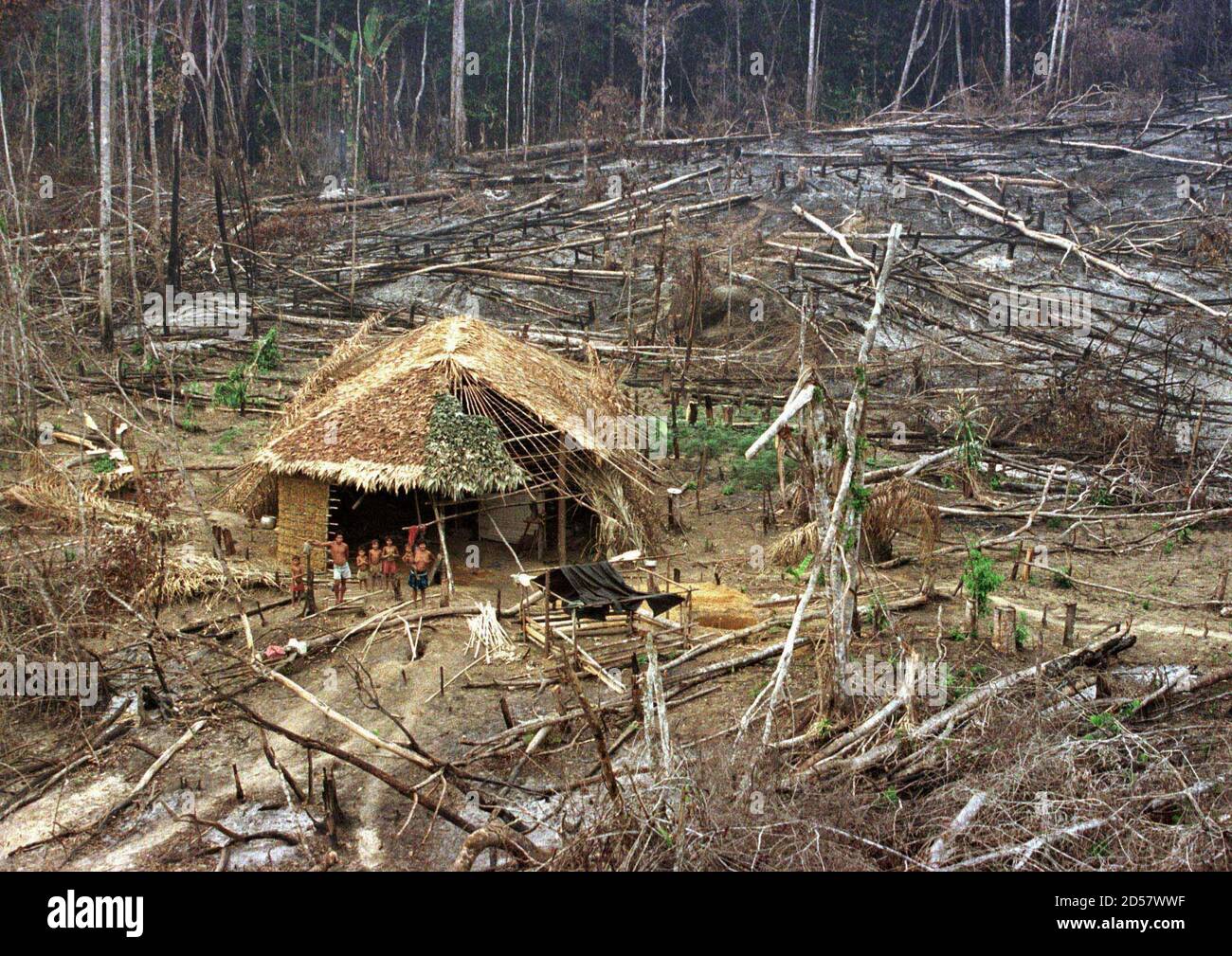 Yanomani hi-res stock photography and images - Alamy