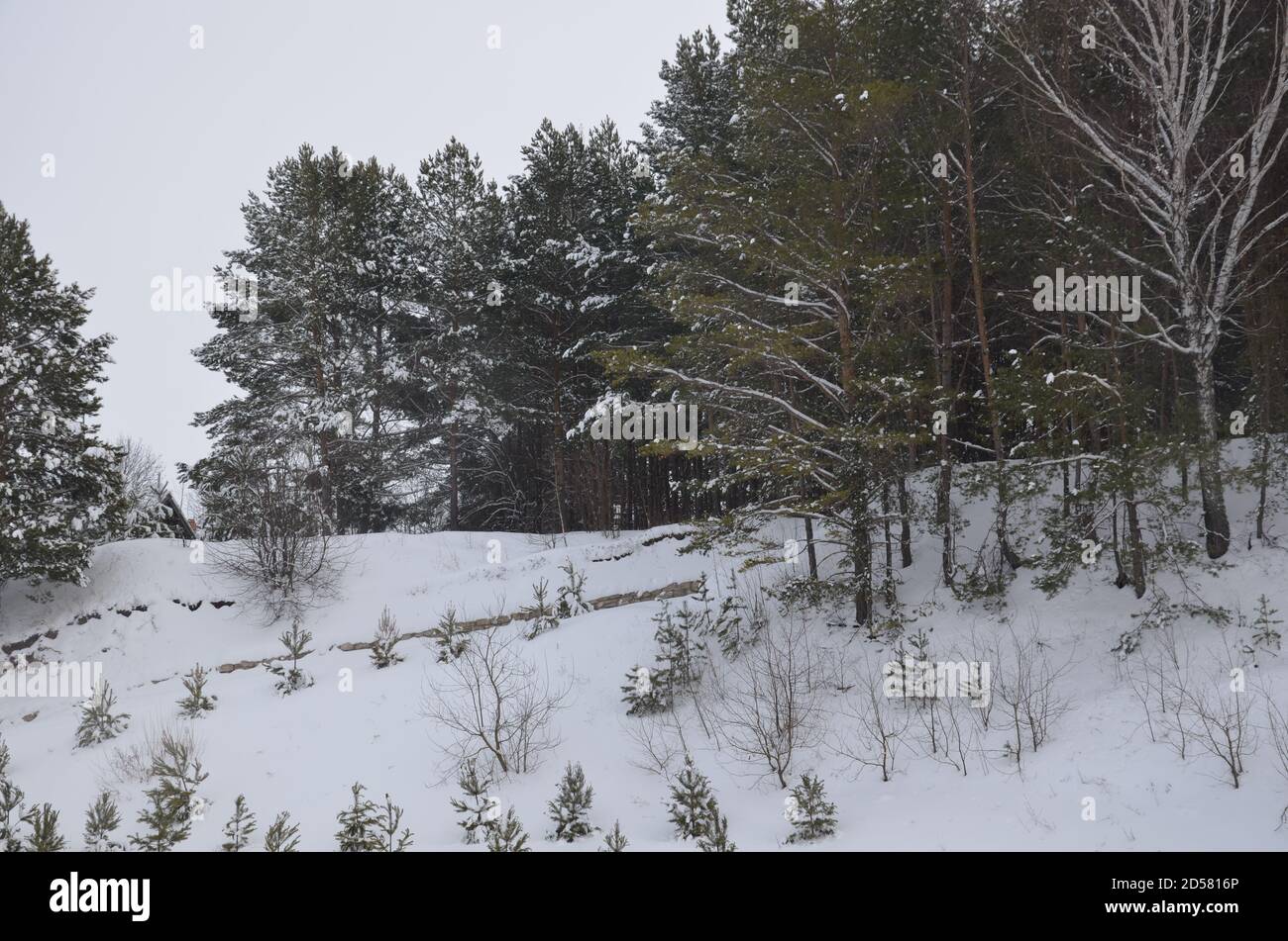 Creative winter scene hi-res stock photography and images - Alamy