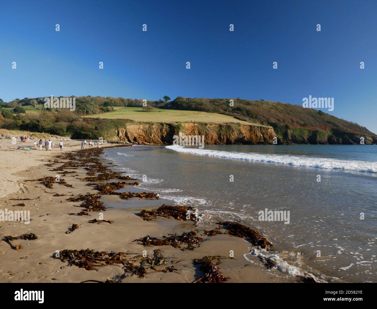 Porthluney Beach, Caerhays, Cornwall Stock Photo - Alamy