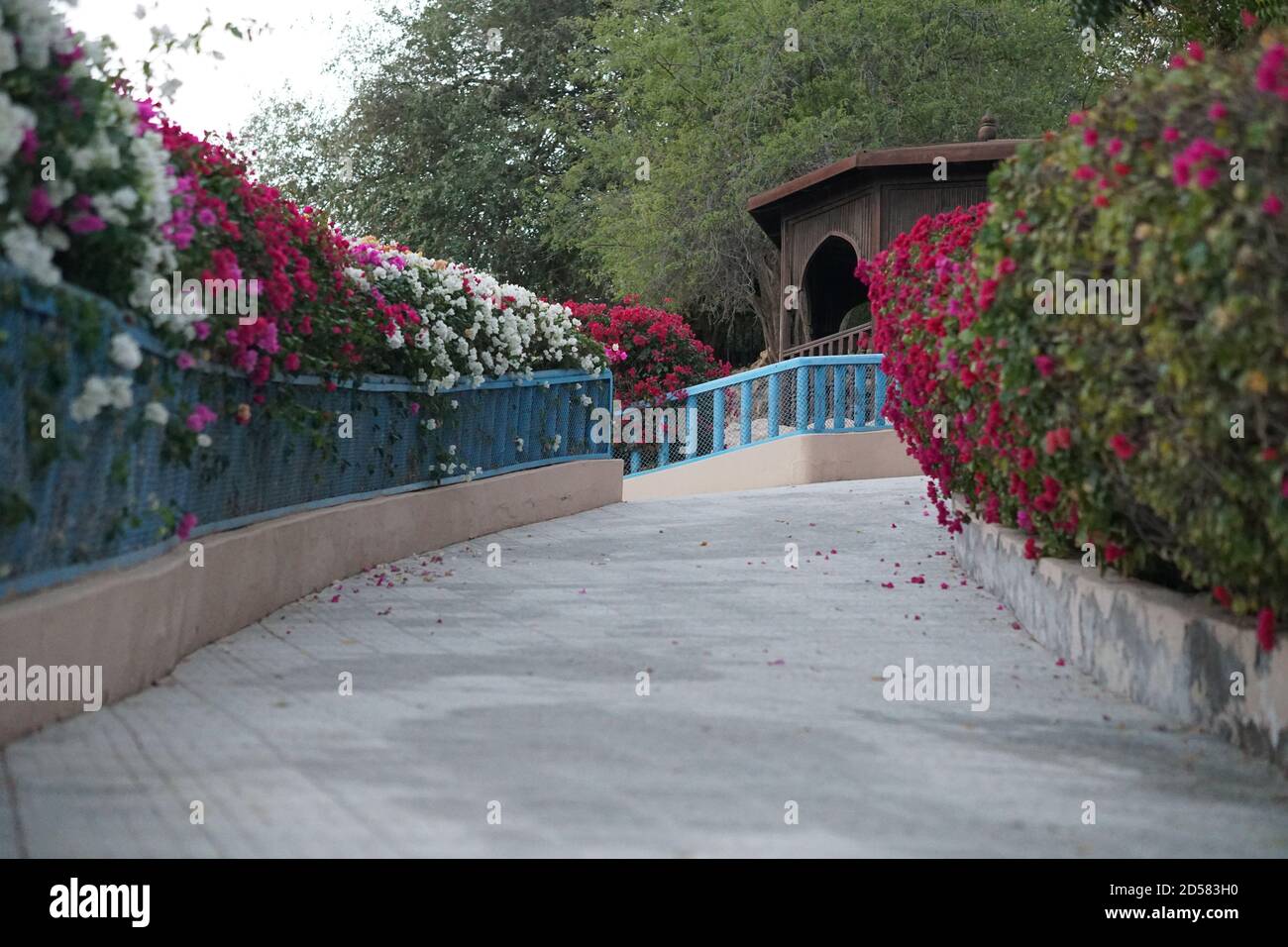 flower walking paths Stock Photo - Alamy
